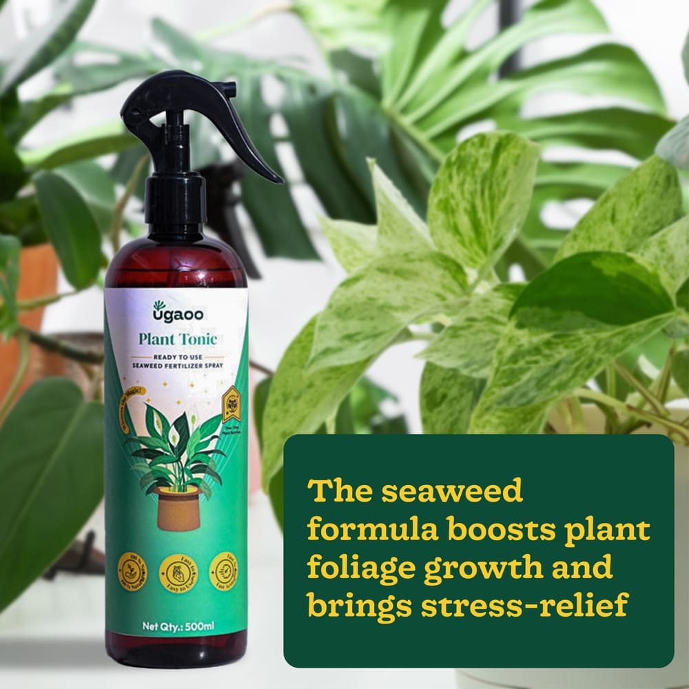 Plant Tonic Ready-To-Use Spray - 500 ml – Ugaoo