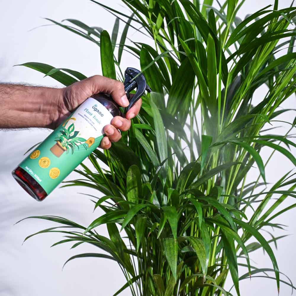 Plant Tonic Ready-To-Use Spray - 500 ml – Ugaoo
