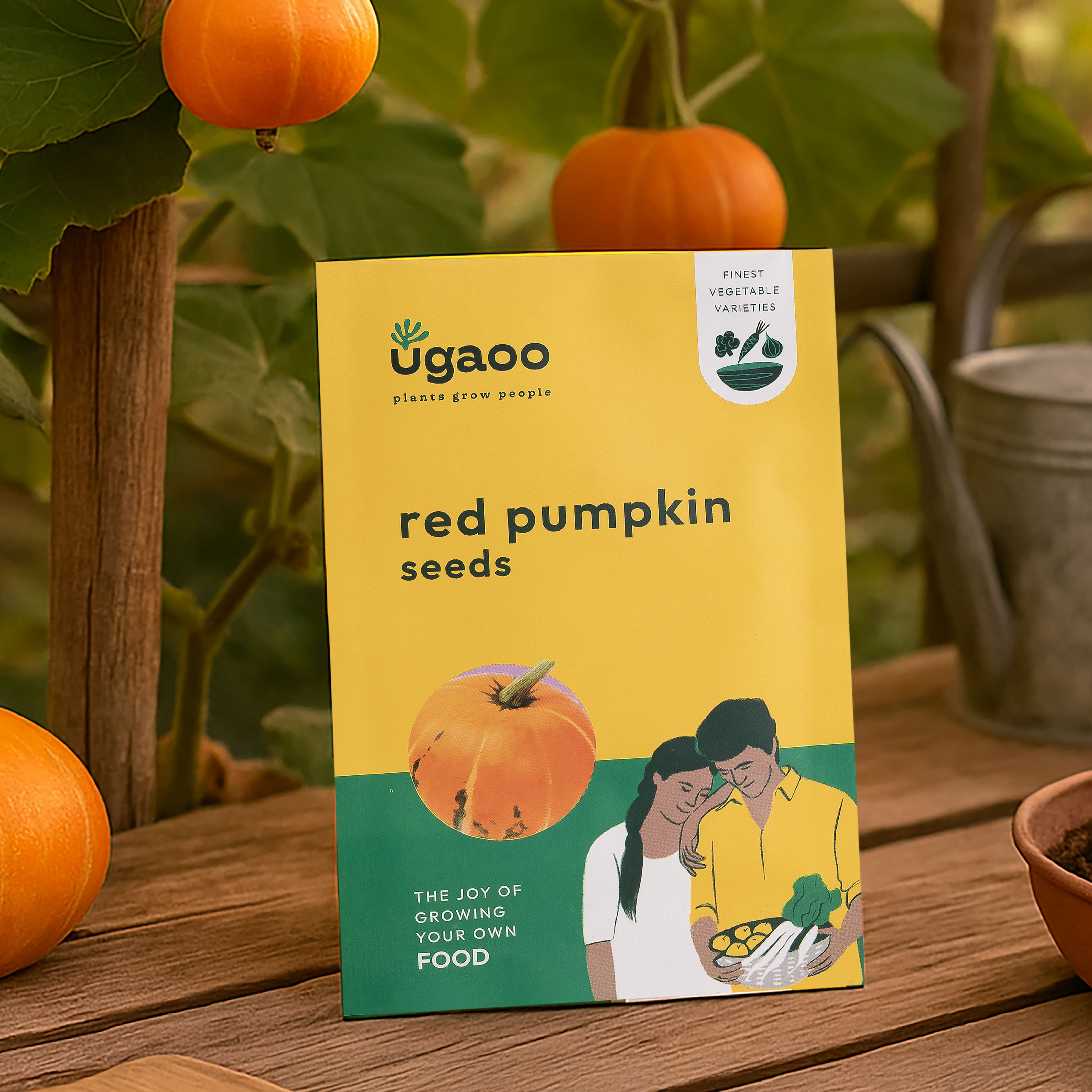 Red Pumpkin Seeds – Ugaoo