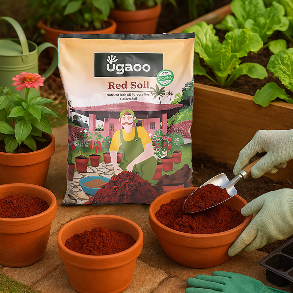Buy Red Soil for Gardening: Essential for Healthy Plant Development – Ugaoo