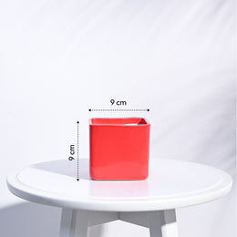 Square Ceramic Pot (3.5 Inch Width) – Ugaoo