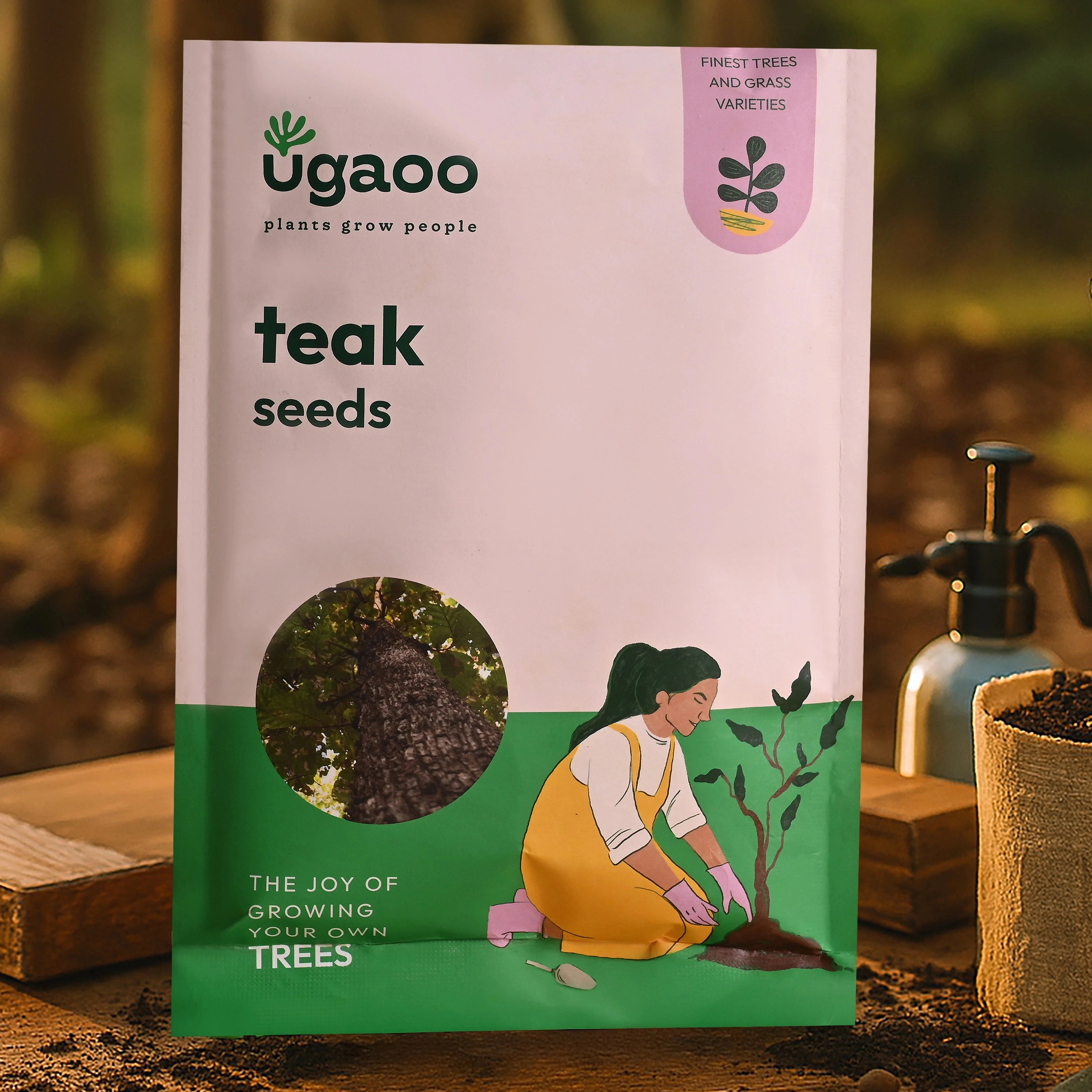Teak Seeds (Tectoma Grandis) - 100 g – Ugaoo