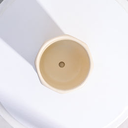 Diamond Ceramic Pot – Ugaoo