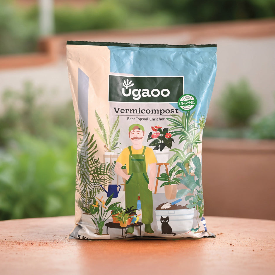 The Kevda Plant and its Many Benefits – Ugaoo