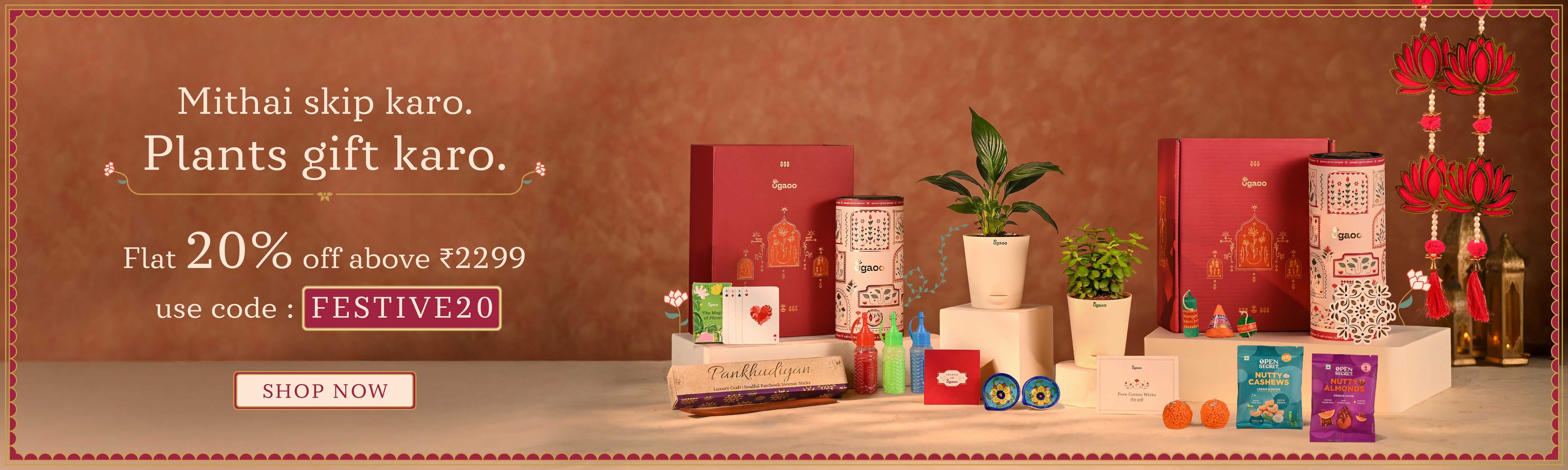 Green Gifts Online- Green Gifting Ideas,Eco Friendly Plant Gifts|Ugaoo