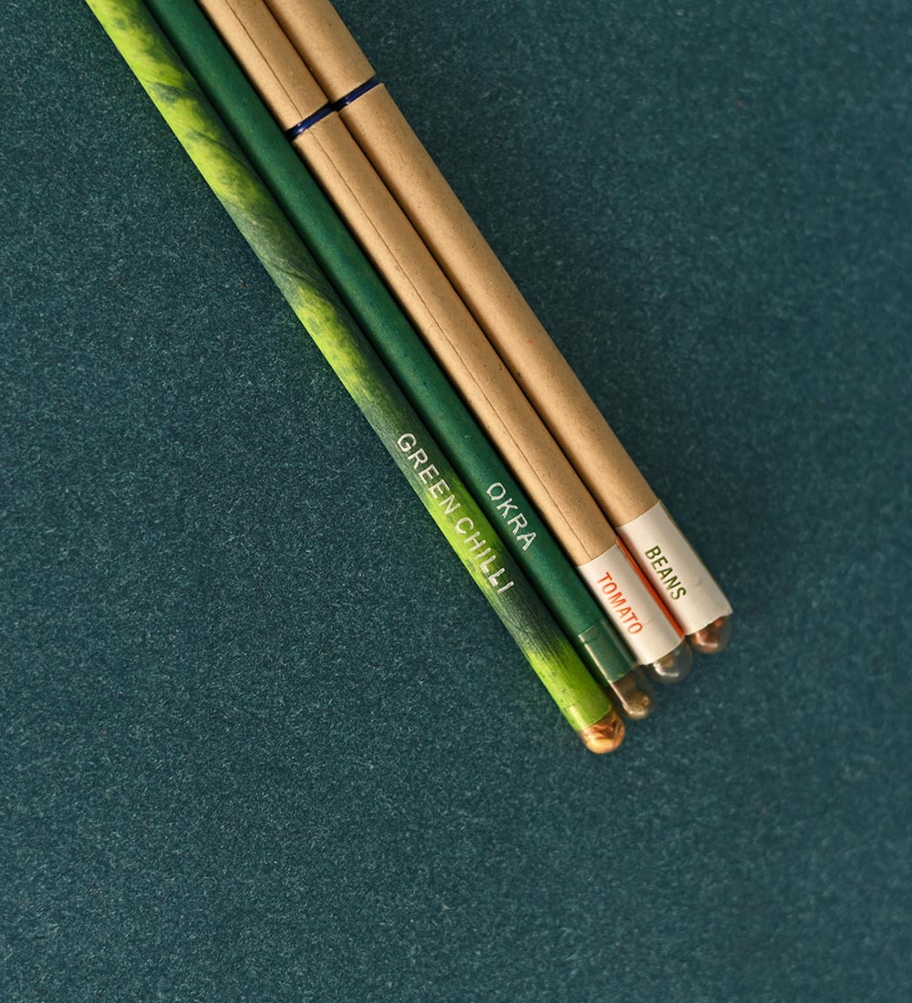 Money Plant Golden and Plantable Essential Box – Ugaoo