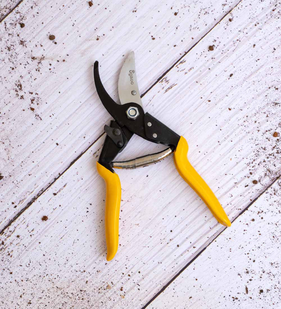 Buy High-quality Garden tools online | Enhance your gardening ...