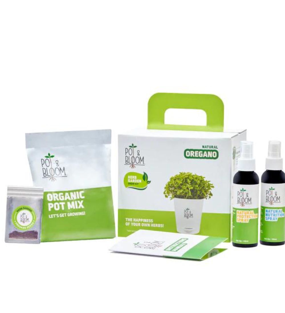 Oregano Grow Kit – Ugaoo