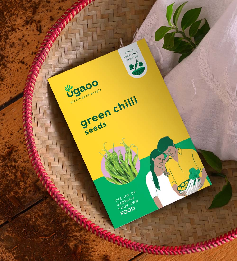 Green Chilli Tree