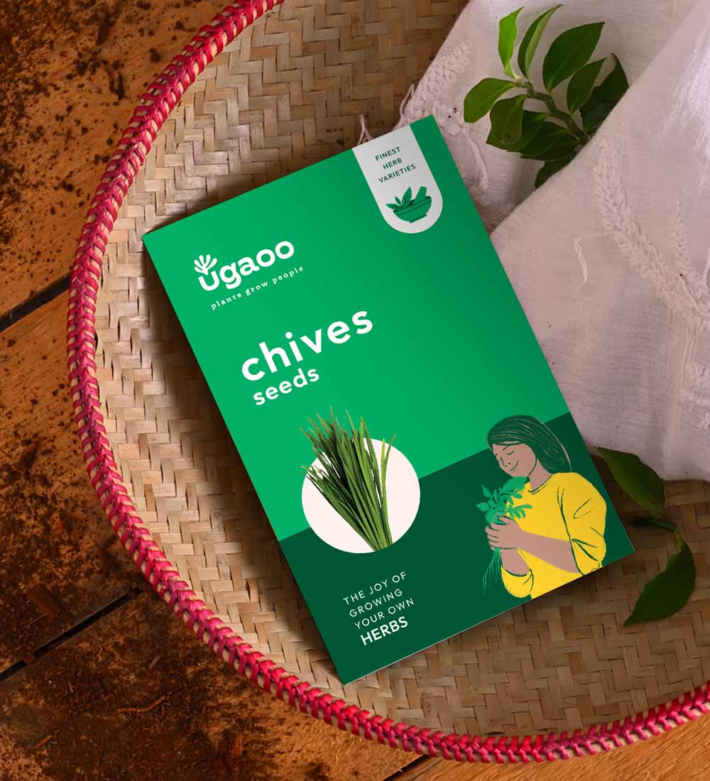 Chives Seeds