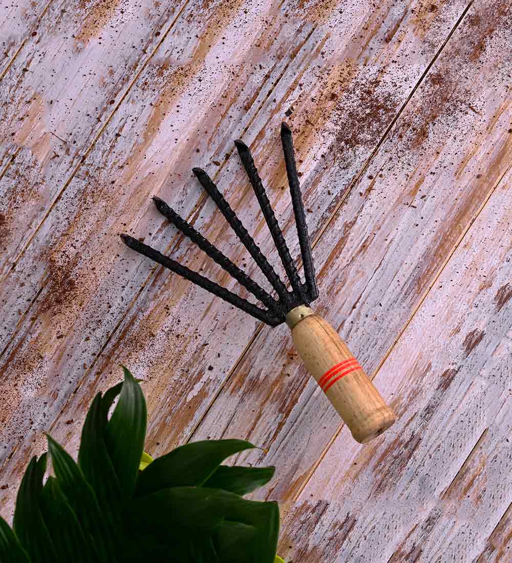 Buy gardening Weeder Online India India, Bangalore
