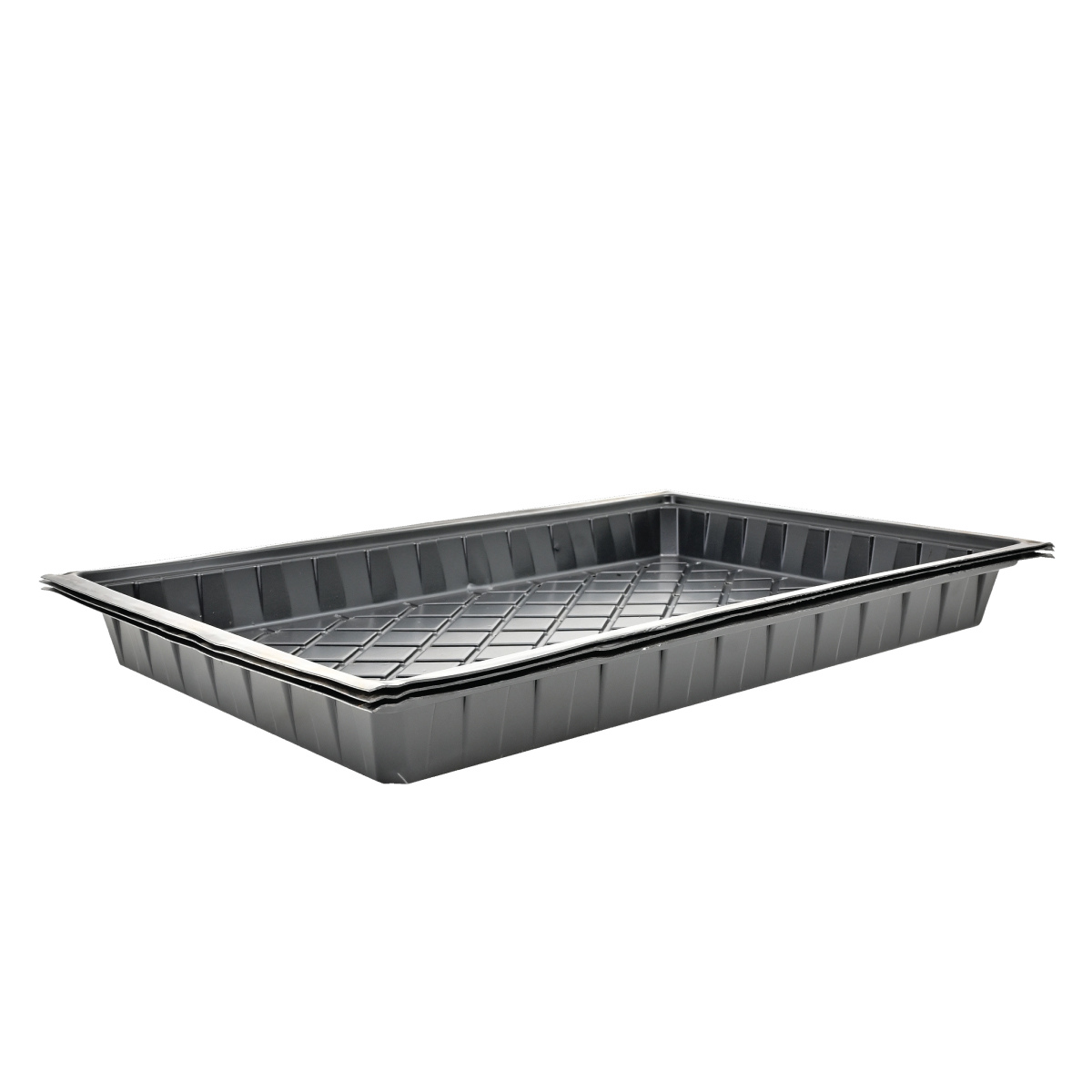 Micorgreen Tray - Set of 3 – Ugaoo