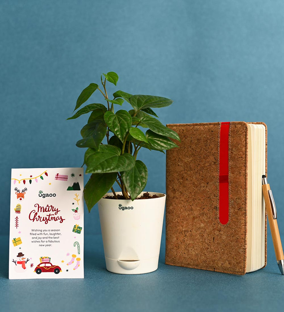 Welcome Kit for Employees :Experience Our Employee Joining Kit – Ugaoo